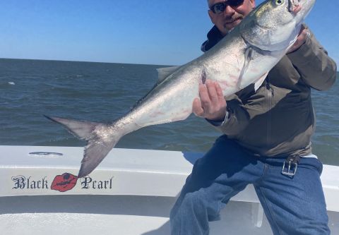 Hatteras Fishing Reports | Outer Banks, NC